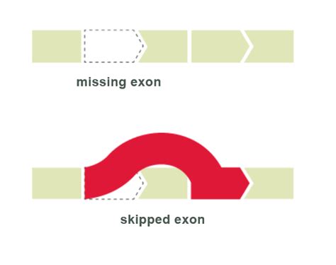 Exon Deletion Tool Neuropediatoolkit