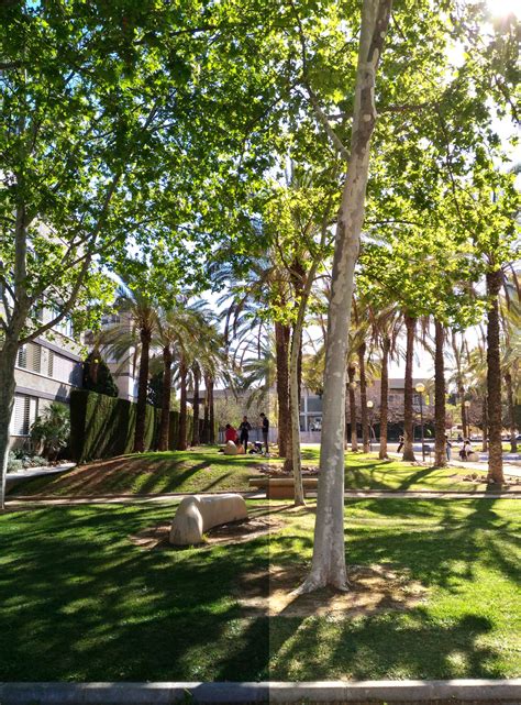 Asus Zenfone Max An Lisis Review Con Caracter Sticas Precio Y Especificaciones