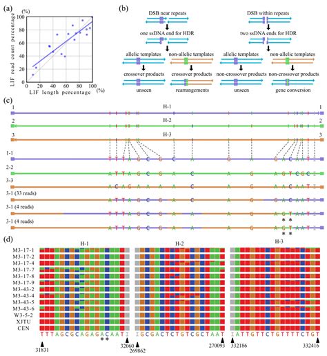 Hifi测序揭示拟南芥msh1参与介导的细胞器基因组重组与变异积累规律 知乎