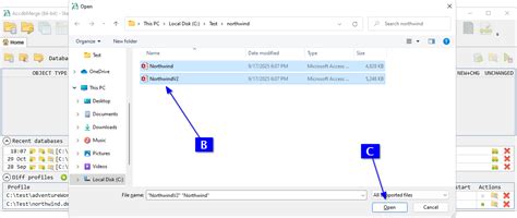 Compare Ms Access Projects Summary View Accdbmerge