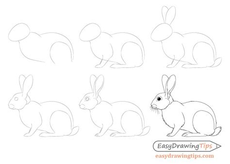 How To Draw A Rabbit Step By Step Tutorial EasyDrawingTips Rabbit Drawing Drawing Tutorial