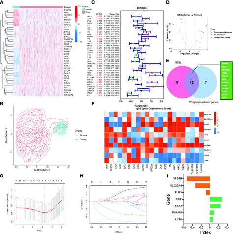 Identification Of Nprgss And Nprgs Risk Signature A Heatmap Showing