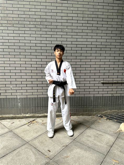 Lowblock Object Detection Dataset By Taekwondo