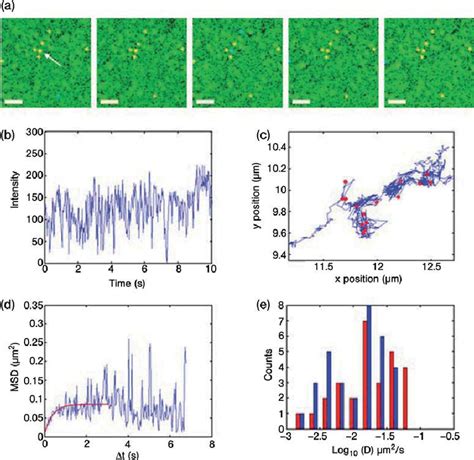 4 Analysis Of Single Particle Tracking Download High Resolution Scientific Diagram