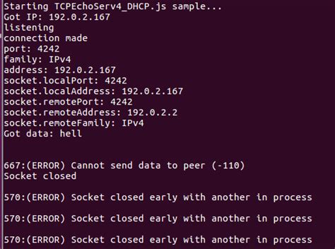 [tcp] cannot connect to tcpechoserv4 dhcp js again by netcat echo on