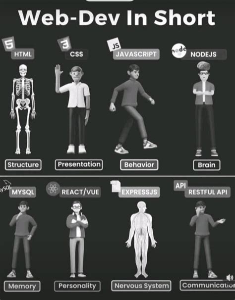 Webdevelopment Html Css Javascript Nodejs React Vue Expressjs