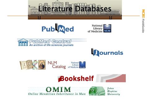 PPT NCBI Molecular Biology Resources PowerPoint Presentation Free Download ID