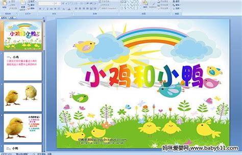 幼儿园小班科学小鸡和小鸭多媒体课件