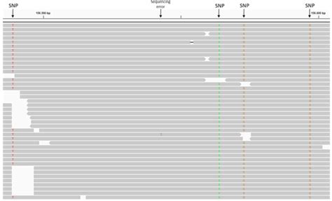 Variant Calling And Vcf Files Introduction To Ngs Data Analysis