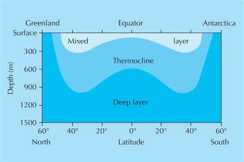Ocean Stratification Ritus Biology Hub