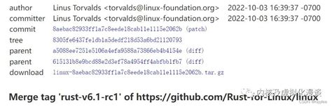 geek新鲜事 初版的rust支持已合并到linux内核 rust已经进入linux内核当中了 csdn博客