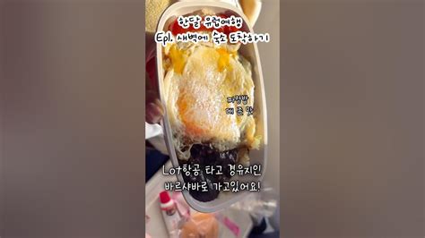 Ep1 한달유럽여행 시작 네덜란드 가보자고 브이로그 Travel Netherlands 네덜란드 유럽한달여행