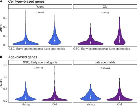 Transcriptional And Mutational Signatures Of The Drosophila Ageing Germline Pmc