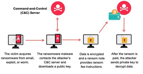 Can Ransomware Spread Through The Network Capa Learning