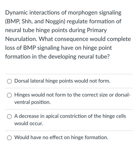 Solved Dynamic Interactions Of Morphogen Signaling Bmp