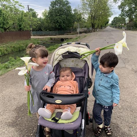 სალი აბრამიშვილი