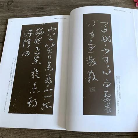 字帖 書法 中國法書選 12 13 王羲之尺牘集 行書毛筆書法字帖 碑帖 二玄社 露天市集 全台最大的網路購物市集