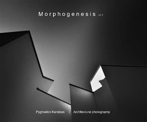 Morphogenesis V11 By Pygmalion Karatzas Blurb Books