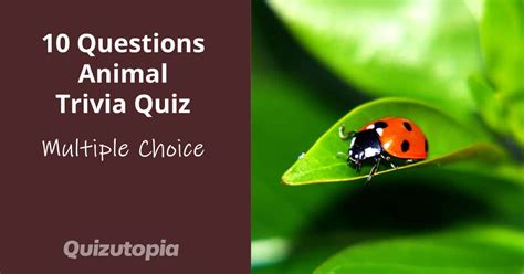 85 Quiz Questions For Adults General Knowledge Quizutopia