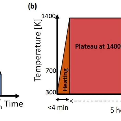 Schematic Representation Not To Scale Of The Temperature Profiles