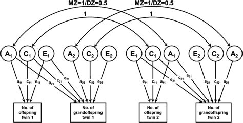 Path Diagram Of A Cholesky Decomposition Circles Represent Latent