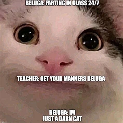 Beluga Imgflip