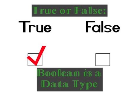 True Or False Boolean Is A Data Type Data True False