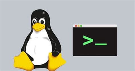 Get To Know About Unix Commands By Smithan Kumar R Medium