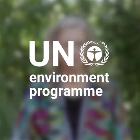 Rugiatu B Koroma On Linkedin Countries Must Have An Environmental