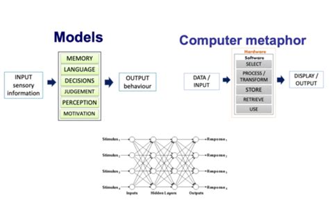 Intro To Cognitive Flashcards Quizlet