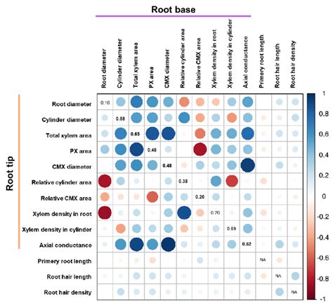 Pearson Correlation Matrix Between The Seminal Roots Morphological Download Scientific Diagram