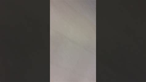 Stepping On A Bug Youtube