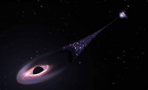 Milky Way Black Holes