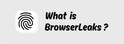 Browserleaks A Tool To Check Your Data Security Morelogin Blog