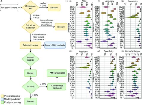 Supervised Machine Learning Prediction Of Antimicrobial Resistance Download Scientific Diagram