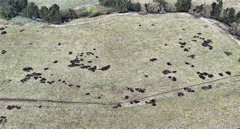 Incredible Drone Picture Reveals Respected Issue Setting You Back Australia 100m Each Year