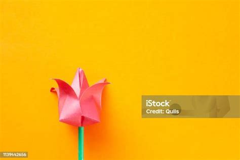 오렌지 바탕에 분홍색 종이 튤립 3 월 8 일 여자의 날 개념입니다 카피 스페이스 수 제 종이 접기 튤립 0명에 대한 스톡 사진 및 기타 이미지 Istock