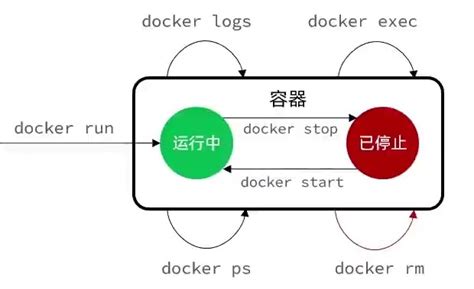 docker常用容器命令