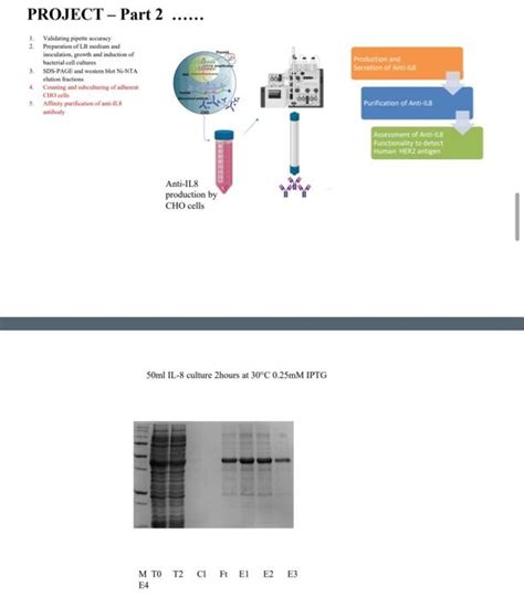 Solved 1describe Dome Upstream And Downstream Applications