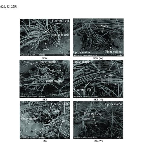 Sem Micrographs Of The Tensile Fracture Samples Before And After