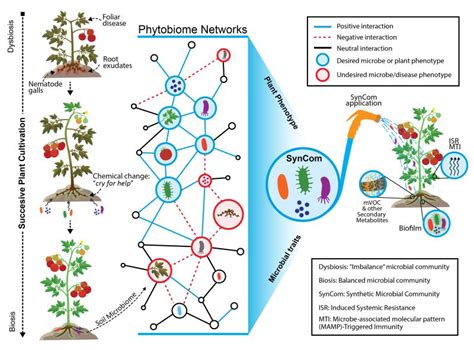 Sustainableagriculture Microbiome Planthealth Samuel J Martins