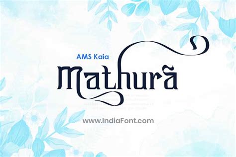 Ams Kaia English Calligraphy Font Indiafont