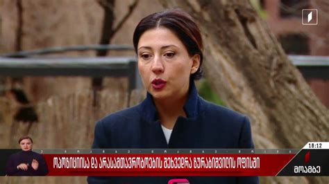ოპოზიციისა და არასამთავრობოების შეხვედრა ზურაბიშვილის ოფისში Youtube