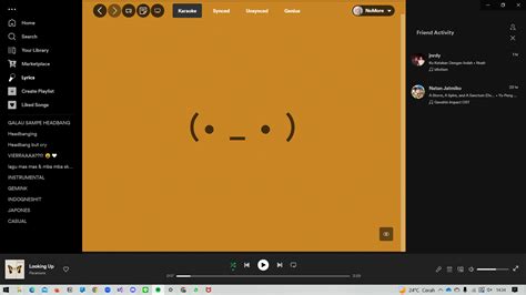 Lyrics Cant Do Karaoke Mode And This Logo Appears · Issue 2167 · Spicetifycli · Github