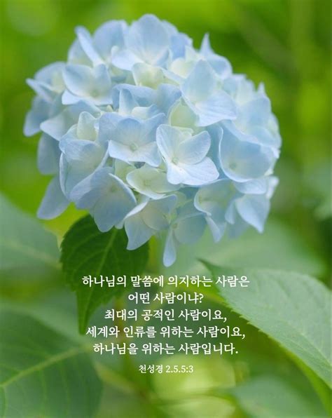 하나님의 말씀에 의지하는 사람은 문선명총재 한학자총재 천성경