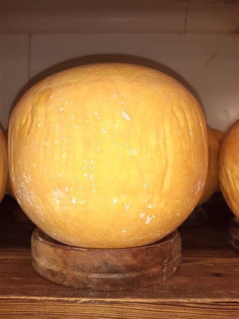 Mimolette Affinée Les Différents Stades La Ferme Du Wint