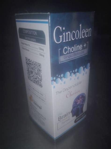 Ginkoline Syp Choline Ginko Biloba Syp 240ml Mental Stimulant Daraz Pk