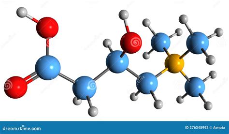 3d Image Of Carnitine Skeletal Formula Stock Illustration