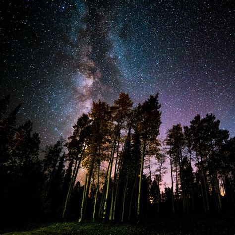 Starry Forest Wallpapers K Hd Starry Forest Backgrounds On Wallpaperbat