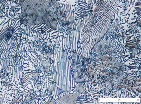Microestructuras Con Perlita Y Ferrita